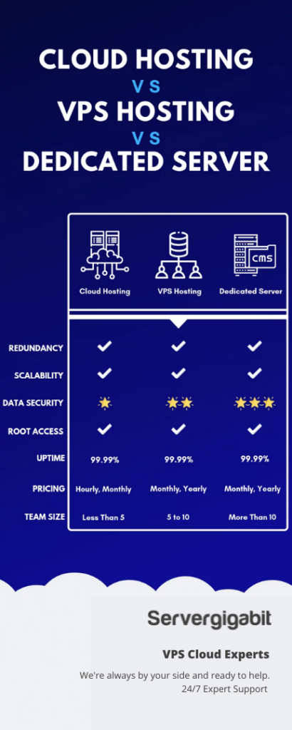 Project Management Guide to Software Hosting - Server Gigabit Network